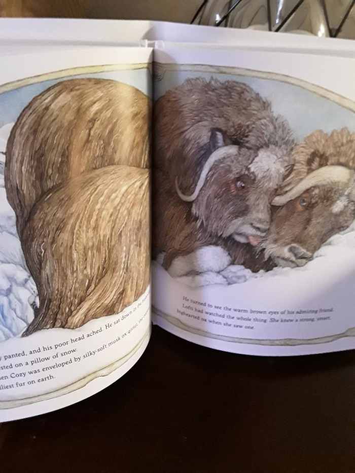 Jan Brett's Loveable Character Cozy the Musk Ox Is Back in New Picture ...