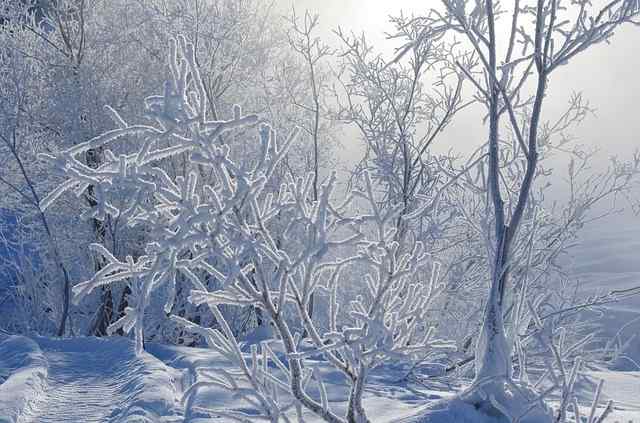 The Beauty of a Snowfall - HubPages
