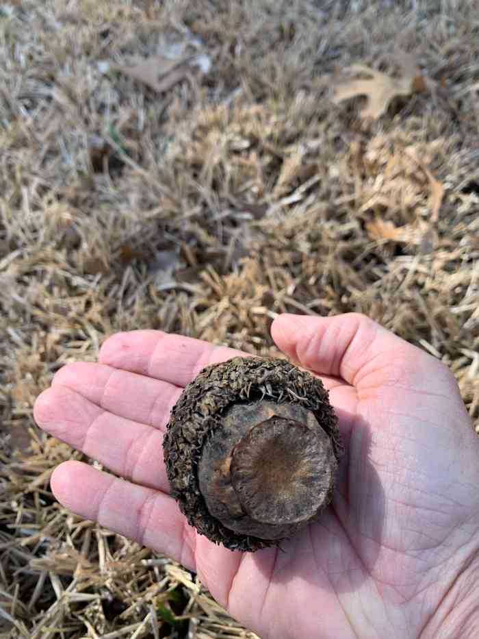 Seed Saving 101 - HubPages