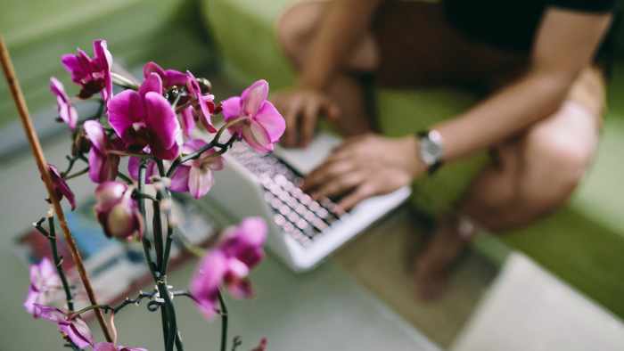 How to Start Paid Online Writing Jobs - HubPages