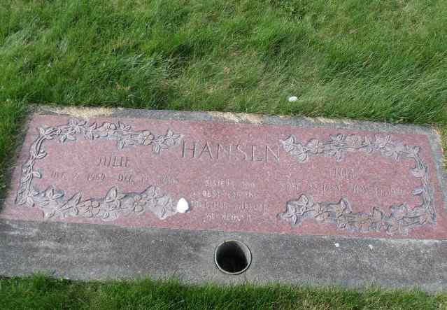 Jill and Julie Hansen: Twins Murdered and Brother Donny Hansen Is Main ...