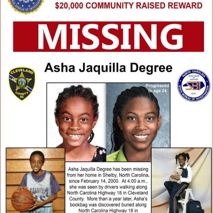 The Baffling Disappearance of Asha Degree - HubPages