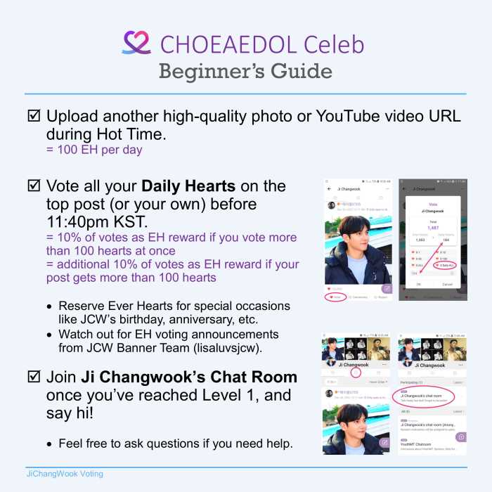Complete Beginner's Guide to Choeaedol Celeb - HubPages