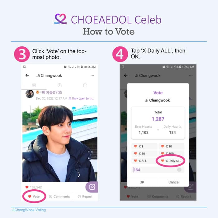 Complete Beginner's Guide to Choeaedol Celeb - HubPages