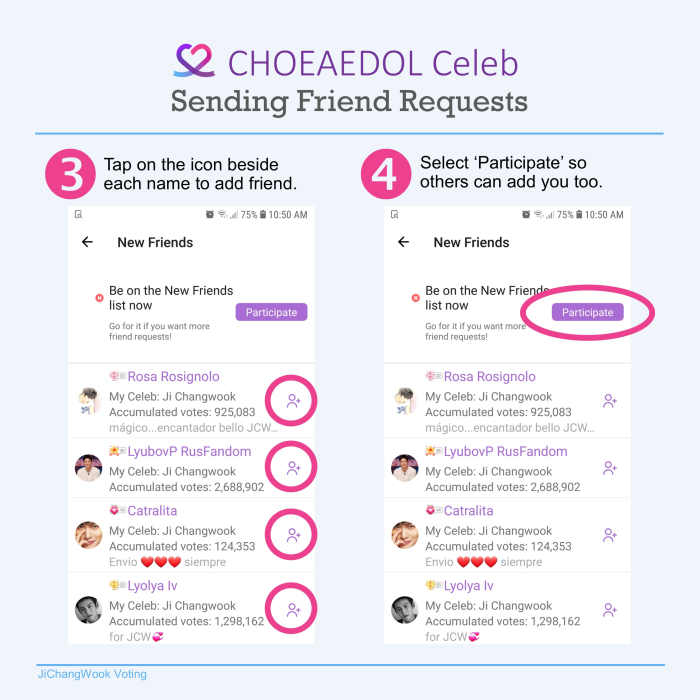 Complete Beginner's Guide to Choeaedol Celeb - HubPages