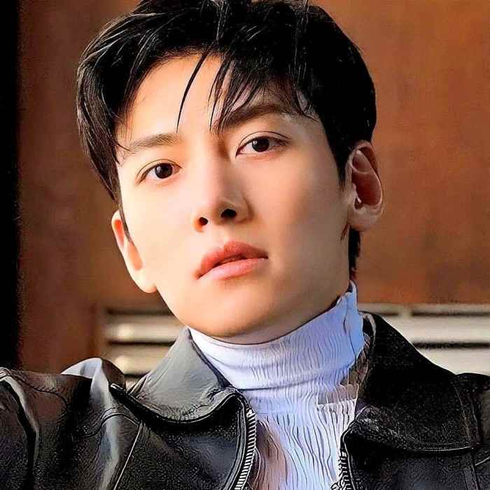 Complete Beginner's Guide to Choeaedol Celeb - HubPages