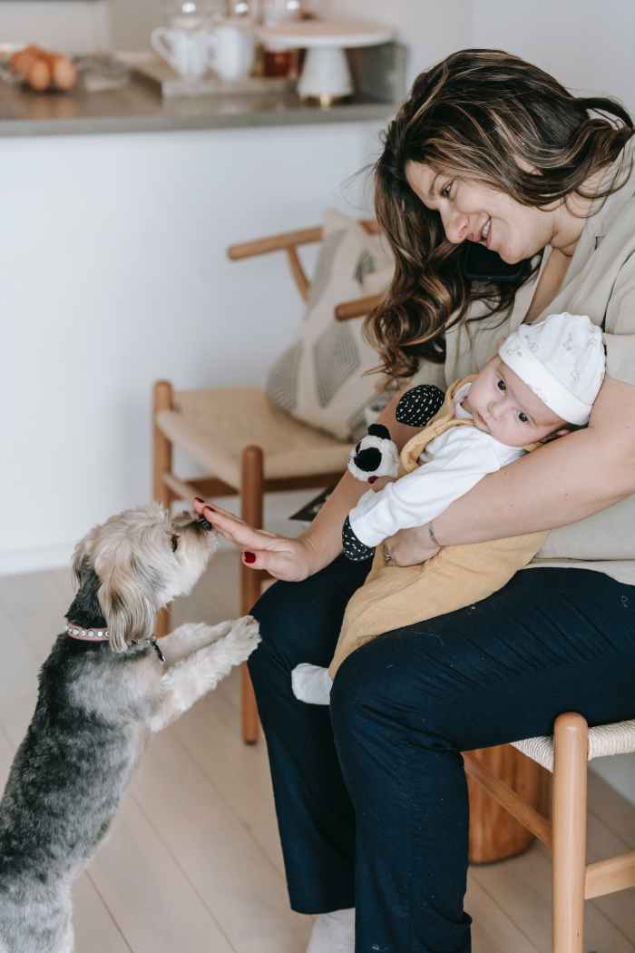 Is a Dog's Love for a Newborn Obsession or Protection? - HubPages