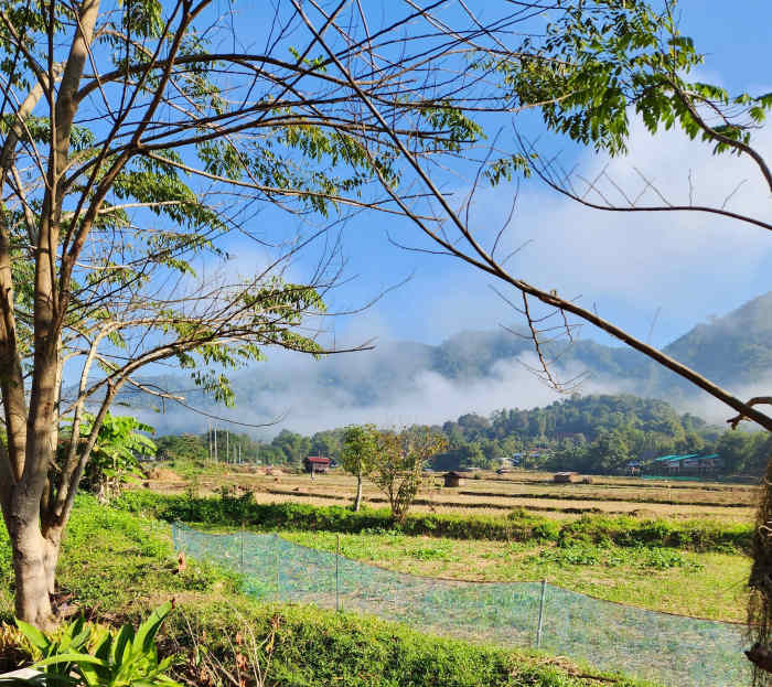 A 'Seasoned' Explorer’s Guide to Northern Thailand: Essential Insights on Mobility, Transport ...