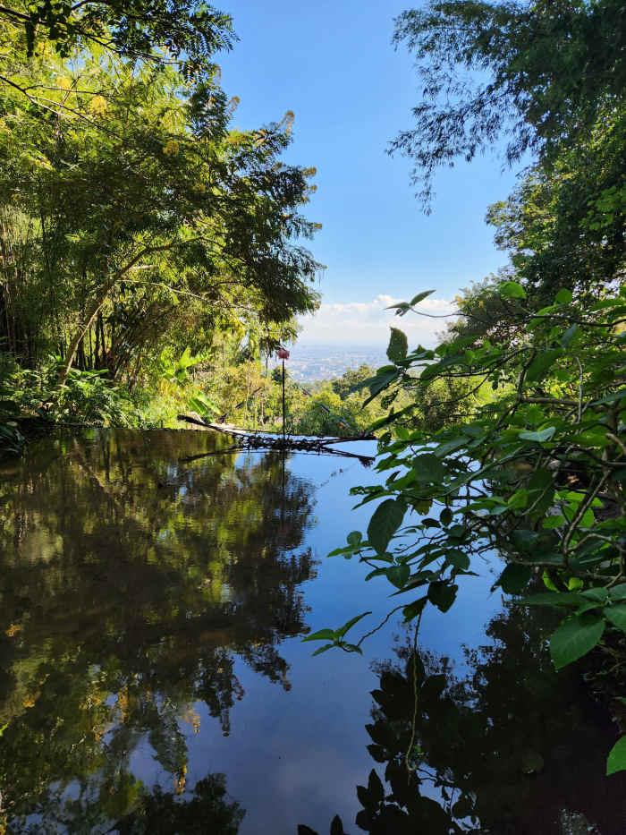 A 'Seasoned' Explorer’s Guide to Northern Thailand: Essential Insights on Mobility, Transport ...