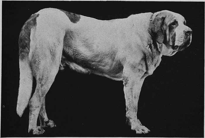 Haunted History of Newberry, South Carolina - HubPages