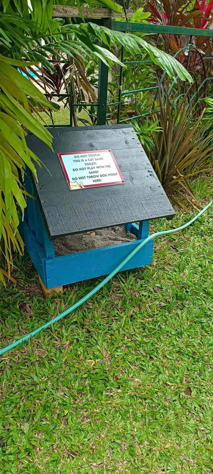 How to Make a Cat Village for Abused and Stray Cats - LetterPile