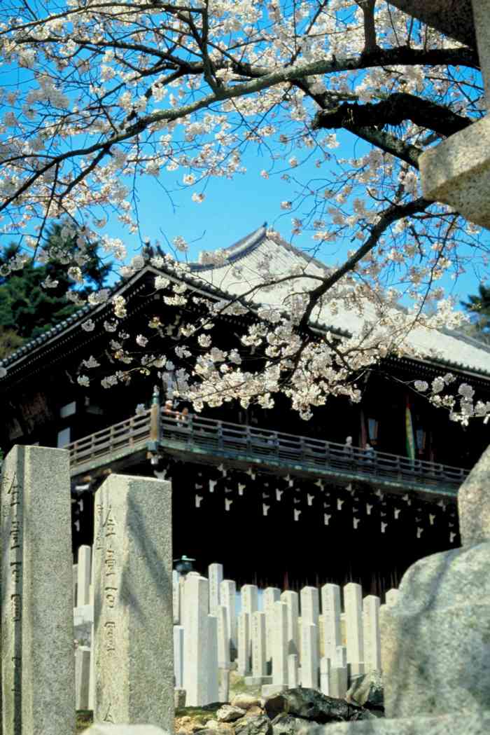 3 Timeless Japanese Films – Tokyo Story, Rashomon and Late Spring ...