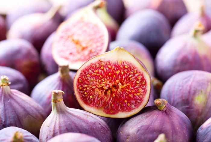A Step-by-Step Guide to Planting and Growing Fig Trees - HubPages