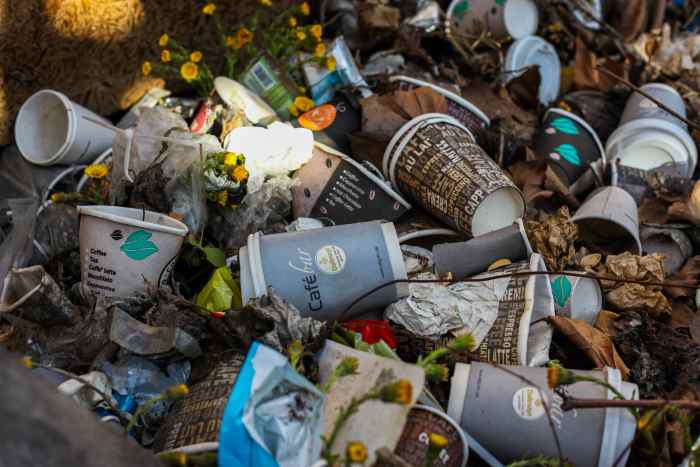 Trash Bin Cleaning: 5 Reasons Your Waste Bin Deserves Another Look ...
