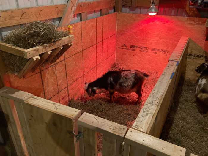 How to Make Retractable Stalls for Managing Livestock Indoors - HubPages