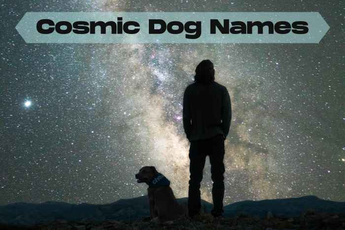 165+ Cosmic Names for Dogs From the Heavens, Science and Sci-Fi - HubPages