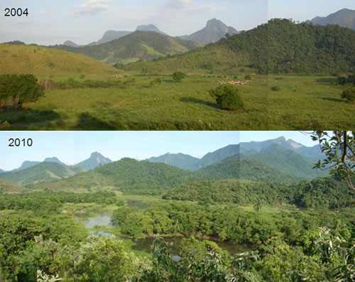 Our Natural Life - HubPages