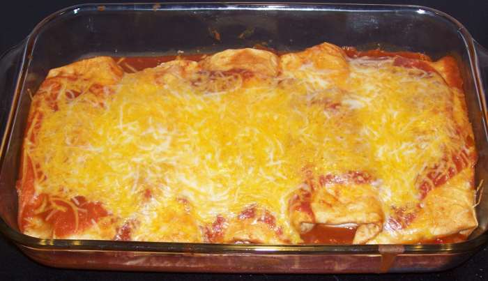 The Best, Creamiest, Cheesiest Chicken Enchiladas Ever - HubPages