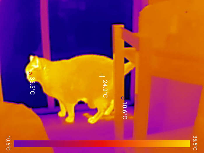 Review of the TOPDON TC001 Thermal Imaging Camera - HubPages