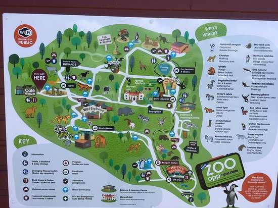 Gerald Durrell: Legend and Savior of Endangered Species - HubPages