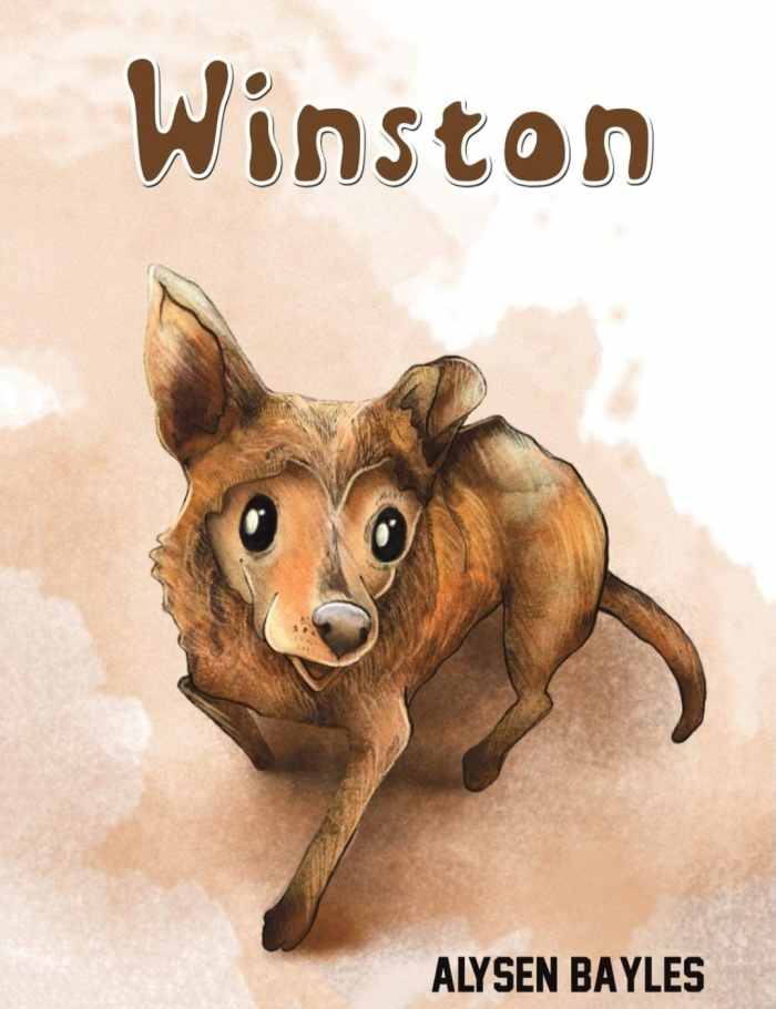 Interview With Author Alysen Bayles - HubPages