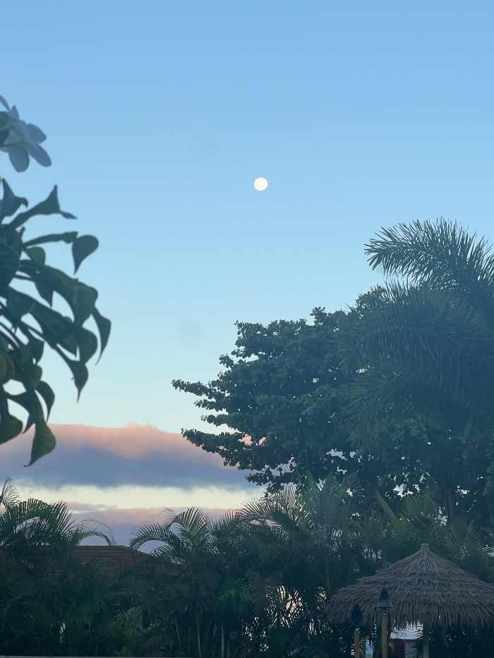 Working With the Virgo Full Moon and Your Sign: Balancing Healing and ...