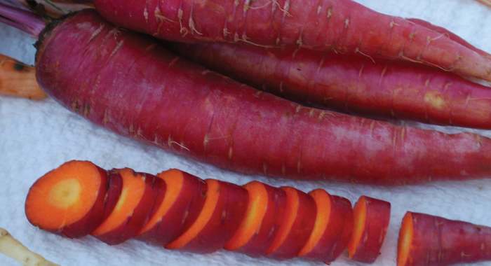 A Step-by-Step Guide to Growing and Cultivating Carrots - HubPages