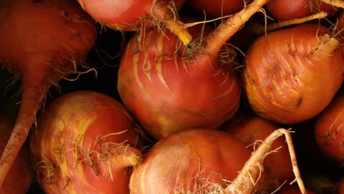 A Comprehensive Guide to Growing Beets - HubPages