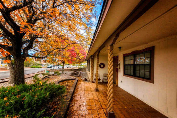 How to Plant and Care for a Golden Rain Tree - HubPages
