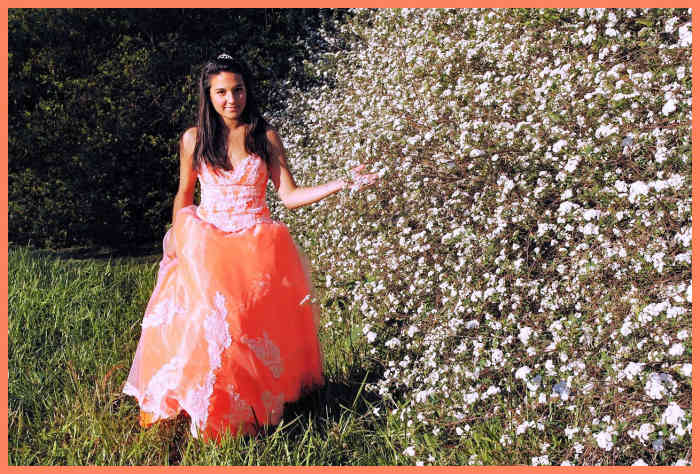 Short Story: Strange Things Happen During Prom Week - HubPages