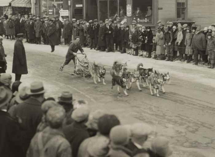 Togo: Canine Hero of 1925 Nome, Alaska Serum Run - HubPages