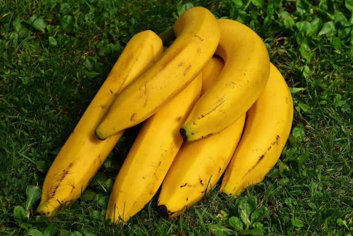 24 Fruit Names in Danish - HubPages