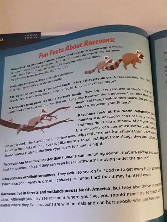 Bees and Raccoons As Part of Amazing Wildlife in Two Picture Books From the Meet Your World ...