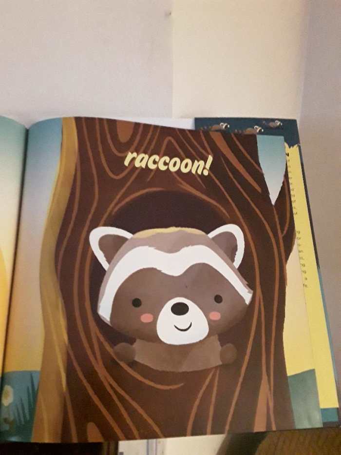 Bees and Raccoons As Part of Amazing Wildlife in Two Picture Books From ...