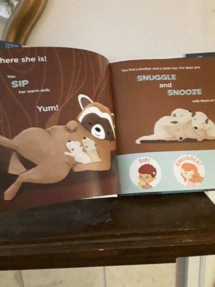 Bees and Raccoons As Part of Amazing Wildlife in Two Picture Books From ...