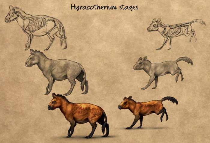 The Return of Horses to America and Their Path From Extinction to Glory ...