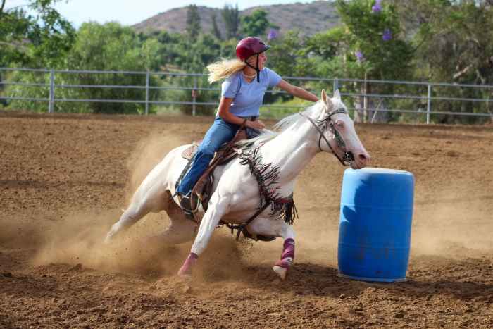 Horse Training Tips: How to Train for Barrel Racing (With Video) - HubPages