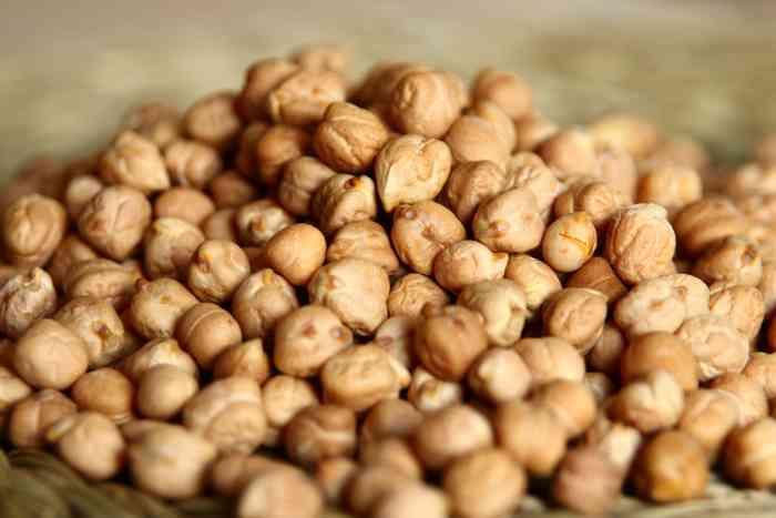 Exploring Chickpeas: History, Nutrition, and 10+ Recipes - HubPages
