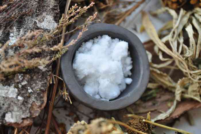 Berries Are a Natural Dye That Can Add Vibrant Color to Your Fabrics ...