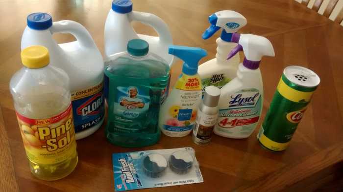 Three Simple Tips to Keep Your Home Green and Clean - HubPages