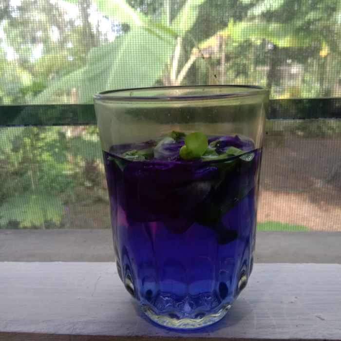 How to make a Blue Ternate Tea - HubPages