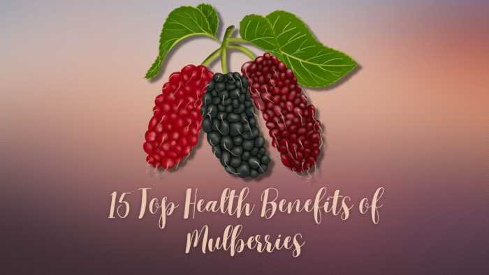 15 Top Health Benefits of Mulberries - HubPages
