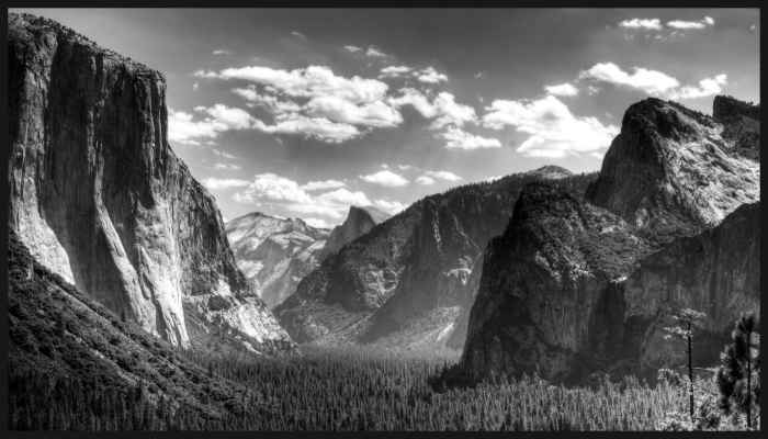Ten Famous Photographers to Celebrate on World Art Day - HubPages
