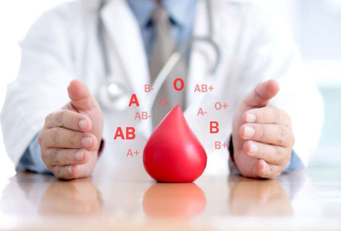 The Ultimate Guide to Blood Types: Everything You Need to Know - HubPages