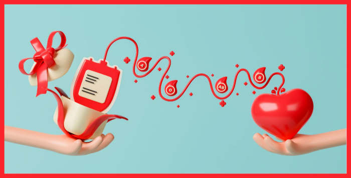 The Ultimate Guide to Blood Types: Everything You Need to Know - HubPages