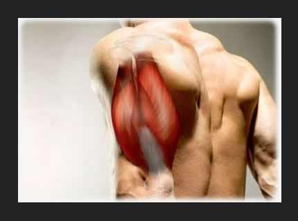 Best Way to Tone Your Arms - HubPages