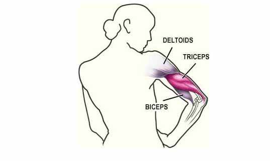 Best Way to Tone Your Arms - HubPages