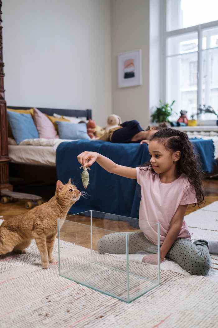 Teaching a Young Child How to Interact With a Cat - HubPages