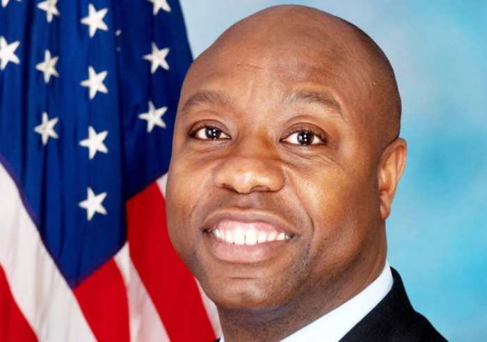 Trump 2024 - The Current Vice President Pool - HubPages