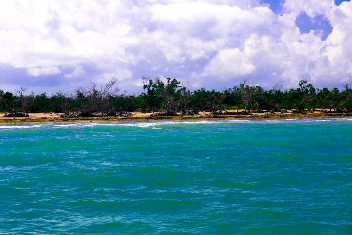 Snook Fishing Along the Everglades National Park Shoreline - HubPages